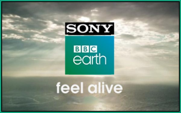 Sony BBC Earth revisits some of its popular content of the year with ...