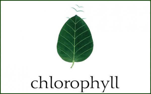 chlorophyll enters its 20th year as chlorophyll 3.0 - with new ...