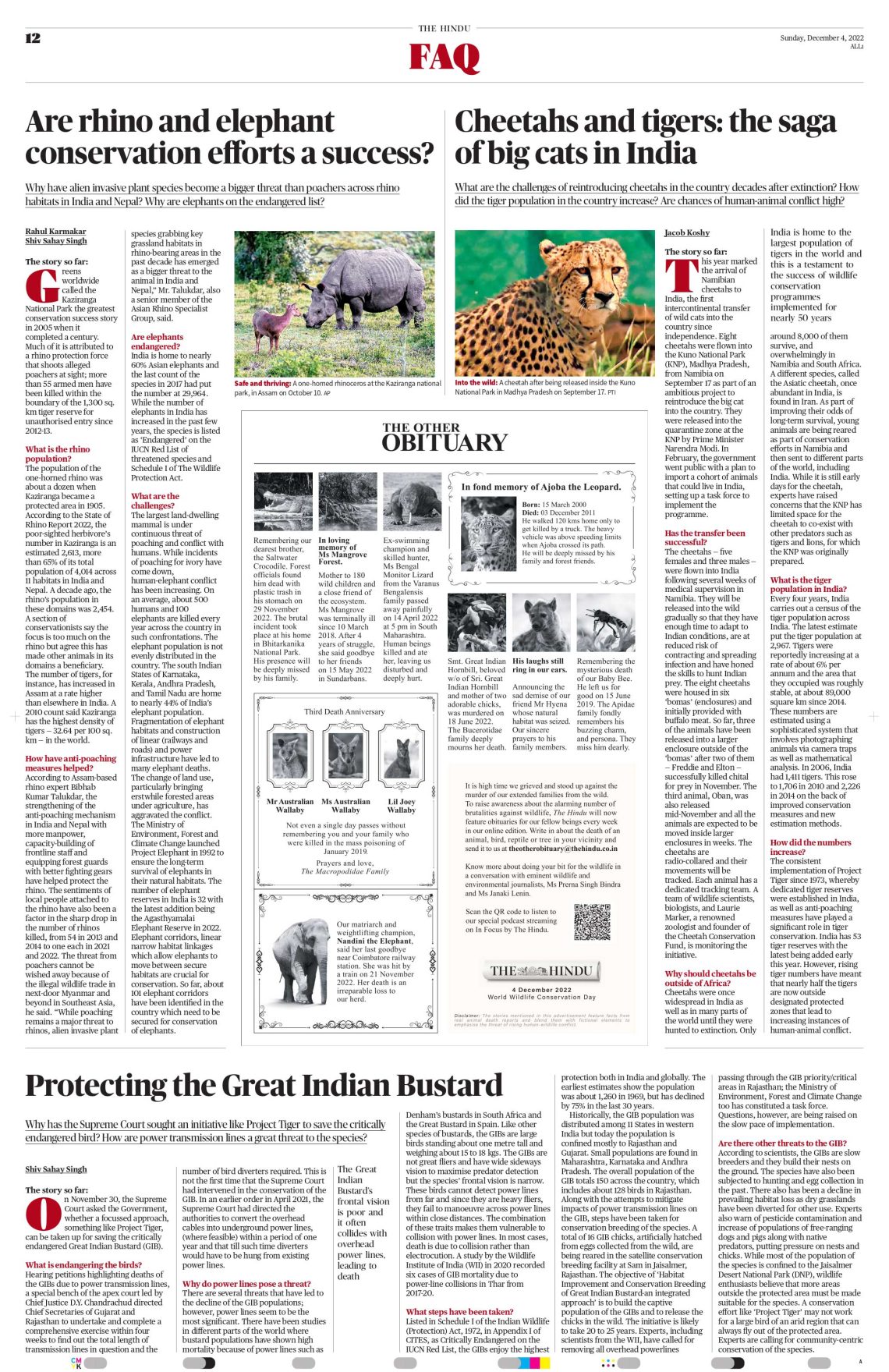 THG launches a hard-hitting campaign for Wildlife Conservation Day