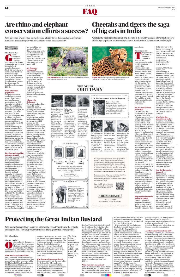 THG launches a hard-hitting campaign for Wildlife Conservation Day